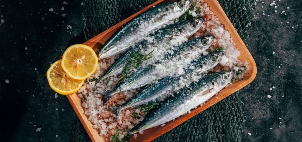 Peixe saudável que deve incluir na sua dieta | A Poveira